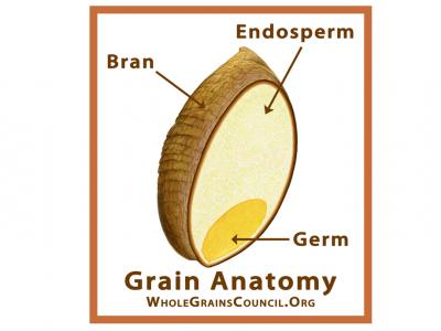 The Whole Grains Council