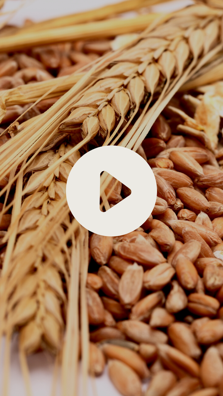 Celebrate Whole Grains Month in September | The Whole Grains Council